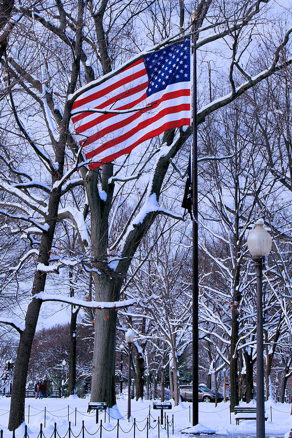 Tips for Photographing the Snow | Washington Photo Safari